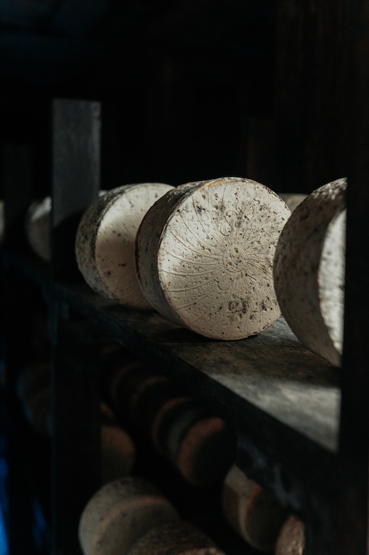 Visite des Caves de Roquefort – Gratuit | Maison Gabriel Coulet